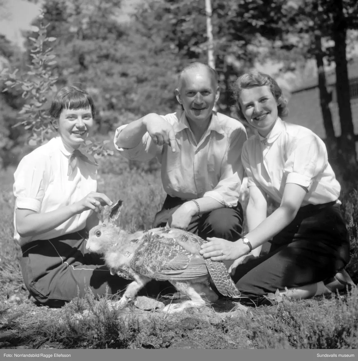 Skvadern på Norra berget. Fantasidjuret som blivit något av en symbol ...