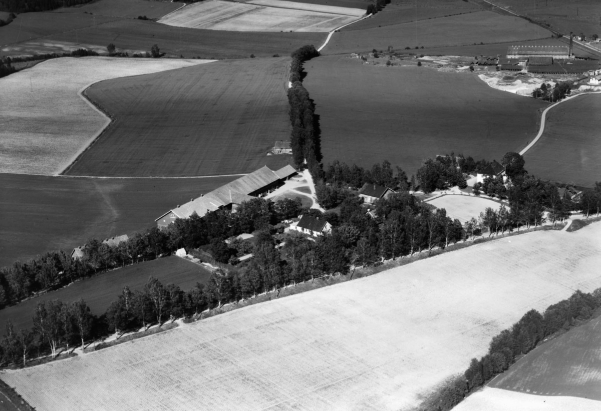 HOLSTAD GÅRD MED HOLSTAD TEGLVERK/FELLESKJØPET TIL HØYRE -Museene i ...