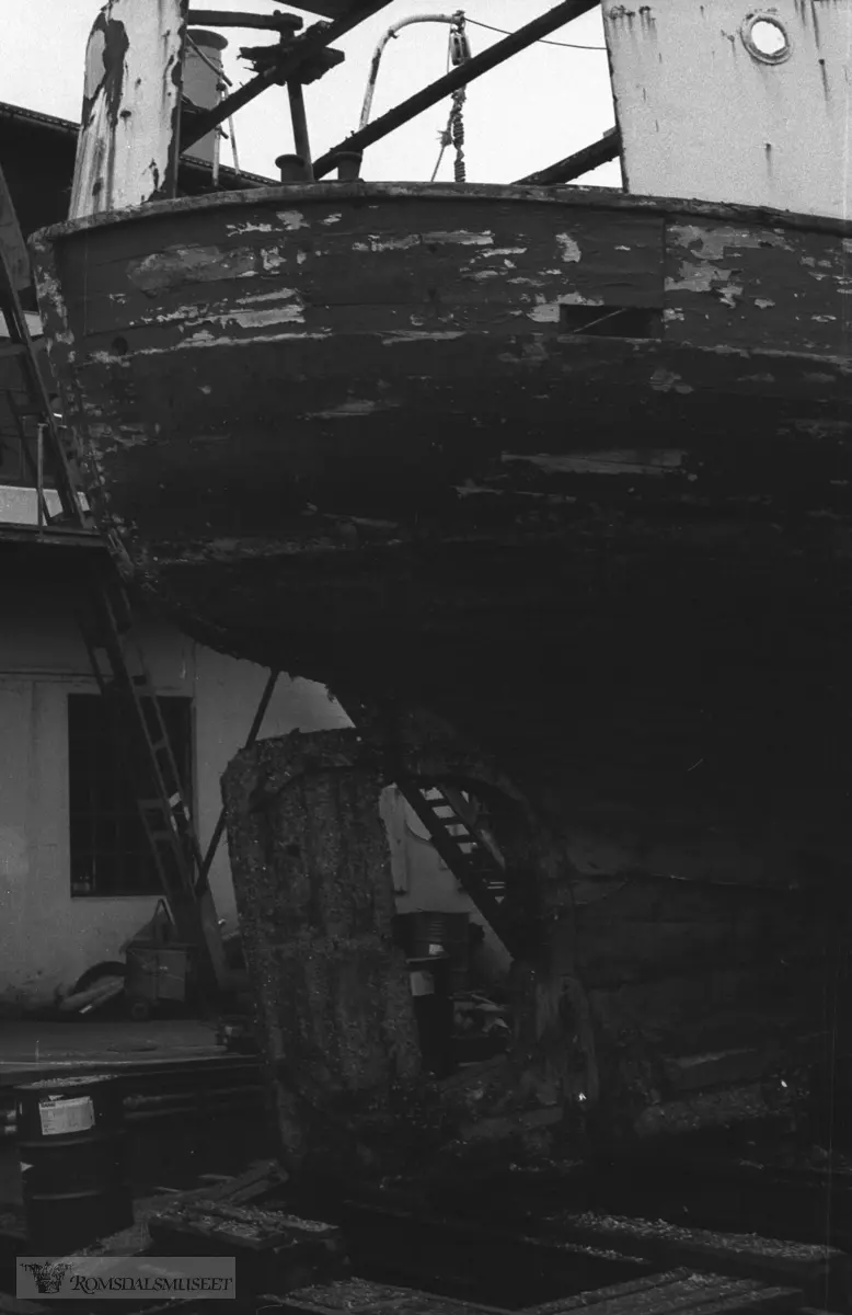 "Bankfisken" på slipp på Bolsønes. Bankfisken ble slippsatt på Bolsønes ...