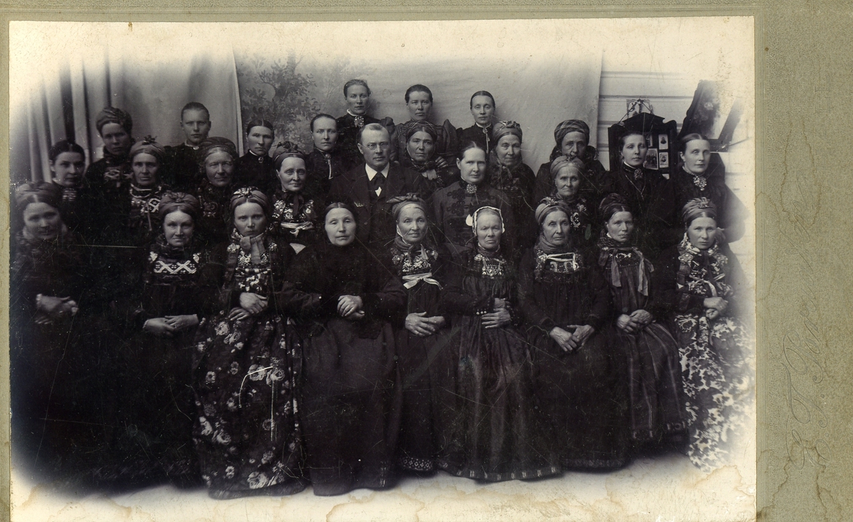 Gol Kvindeforening 1895-1900. 1 rekkje frå h. Ragnhild Amundsli ...