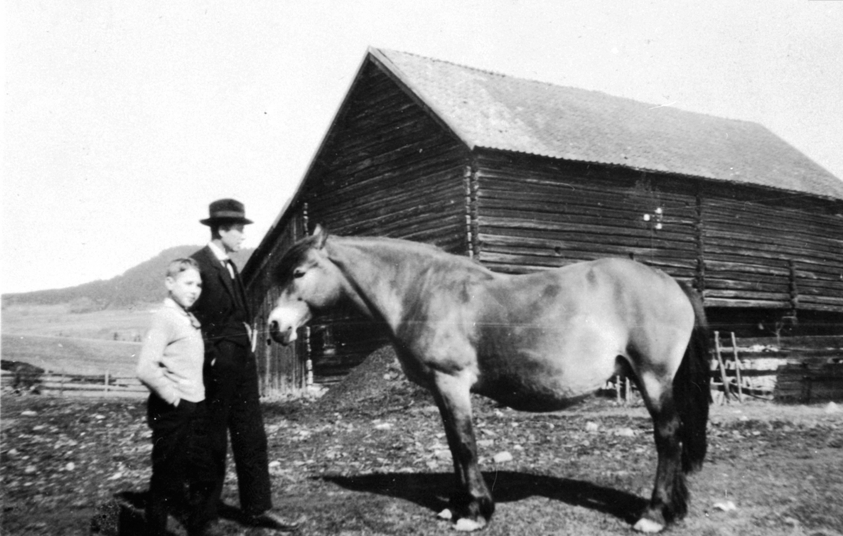 Ringskaer, Veldre, Jemtlandsstallen før den flyttes til Hedmarksmuseet ...