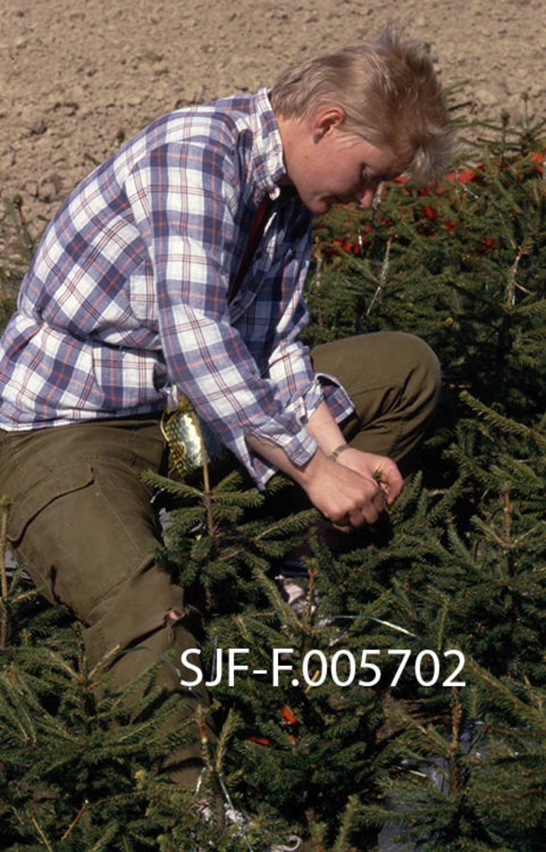 Anne Herud, som var praktisk prosjektleder for opparbeidinga av ...