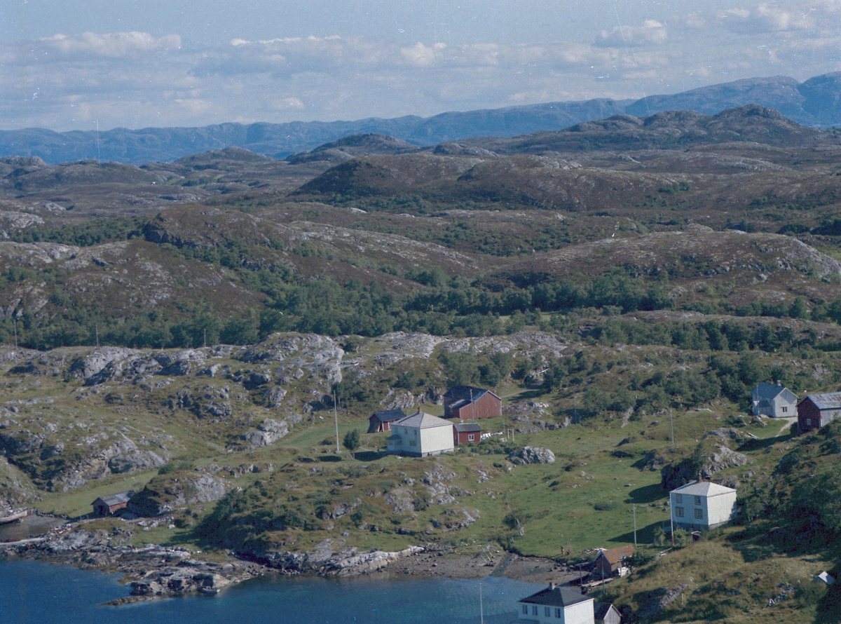 Eiendommer ved Ingeborgvik -Kystmuseet i Sør-Trøndelag / DigitaltMuseum
