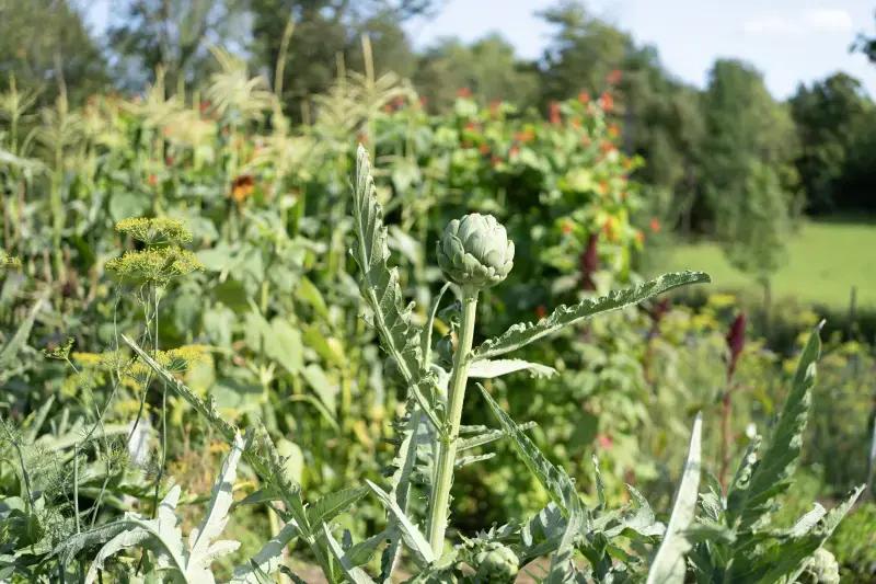 The Annual Cycle at Bygdø Royal Manor - Bygdø Kongsgård