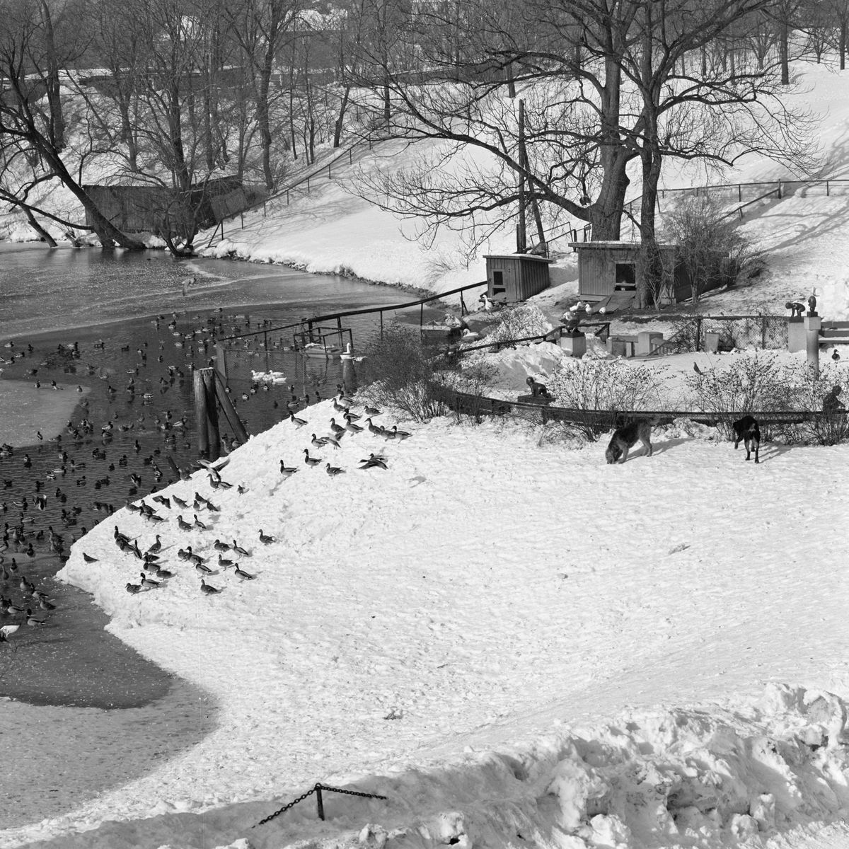 Oslo - Vigelandsaml. -DEXTRA Photo / DigitaltMuseum