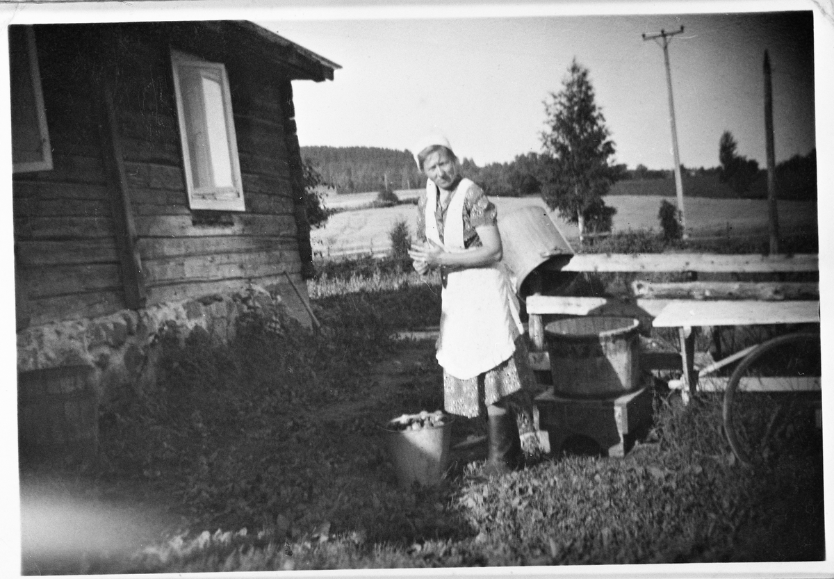 Bollum i Totenvika ca. 1945-46. Ingrid Smedsrud har vært nedpå åkeren ...