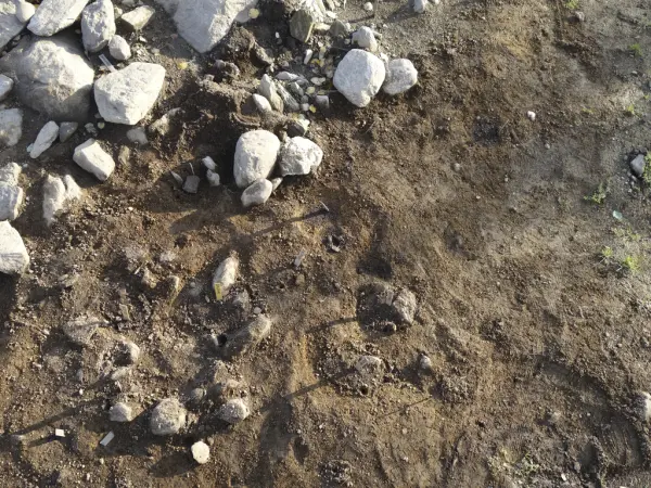 Nore Sunde PR-10471. Arkeologisk utgravning. -Arkeologisk museum ...