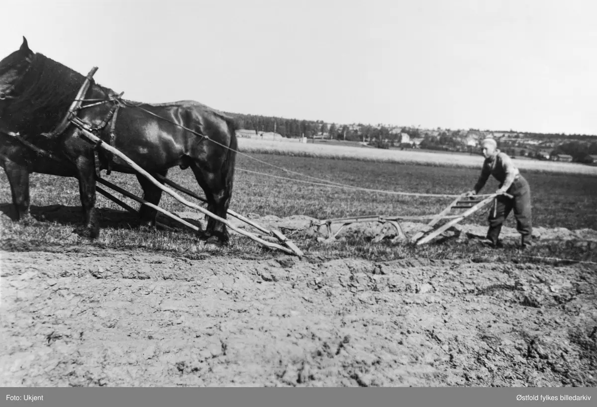 Hauge vestre, Rolvsøy, 1933. pløying med hest. Bak plogen ukjent person ...