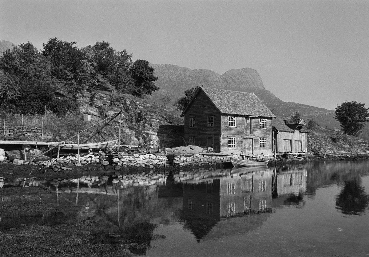 Risnes, Lifjorden, Hyllestad, Sogn. sett fra sjøen -Universitetsmuseet ...
